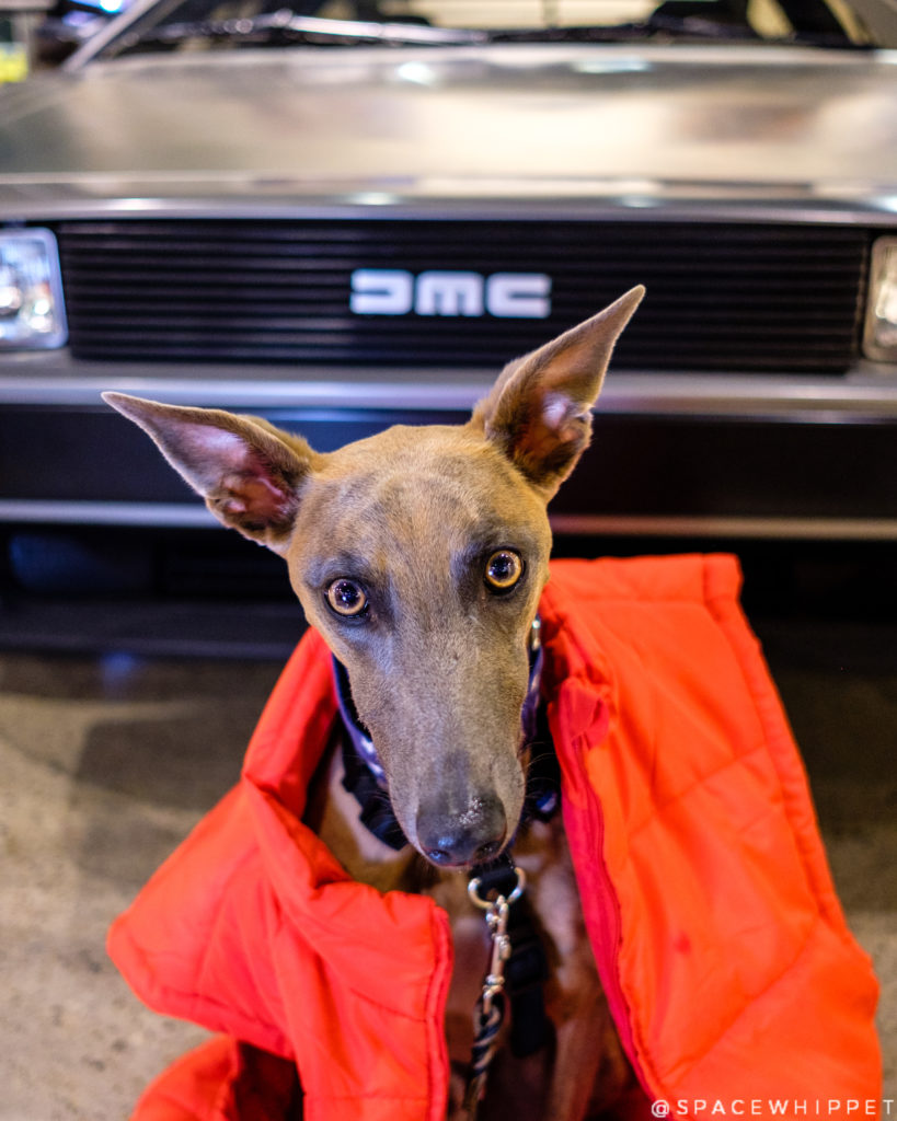 Time Travel Rules - spacewhippet