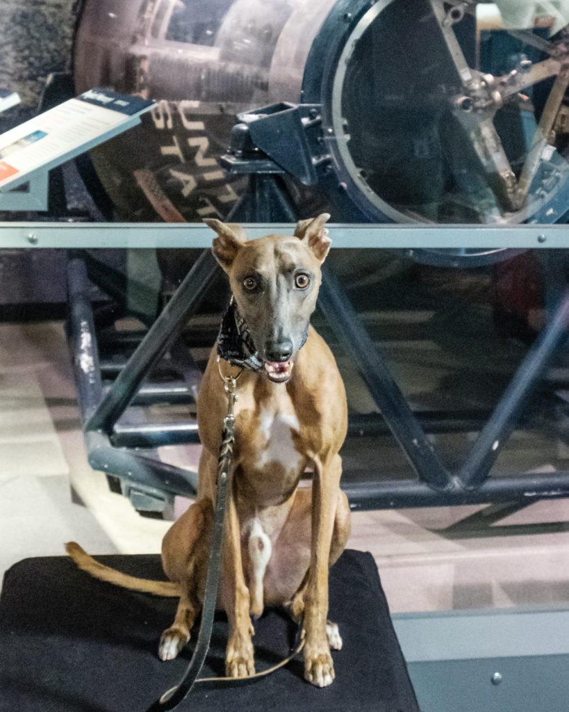 Early Days of the Space Race - spacewhippet