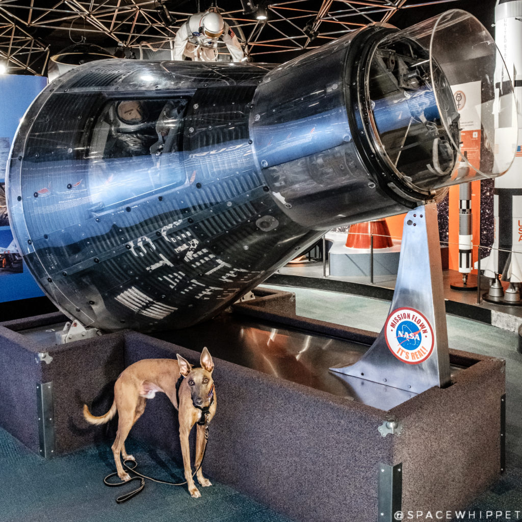 Mercury-Atlas 7 - spacewhippet