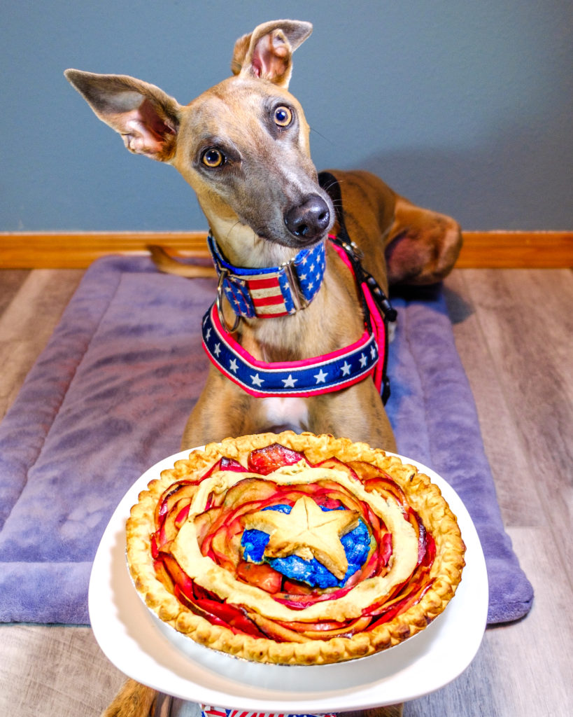 Honoring Stan Lee - spacewhippet