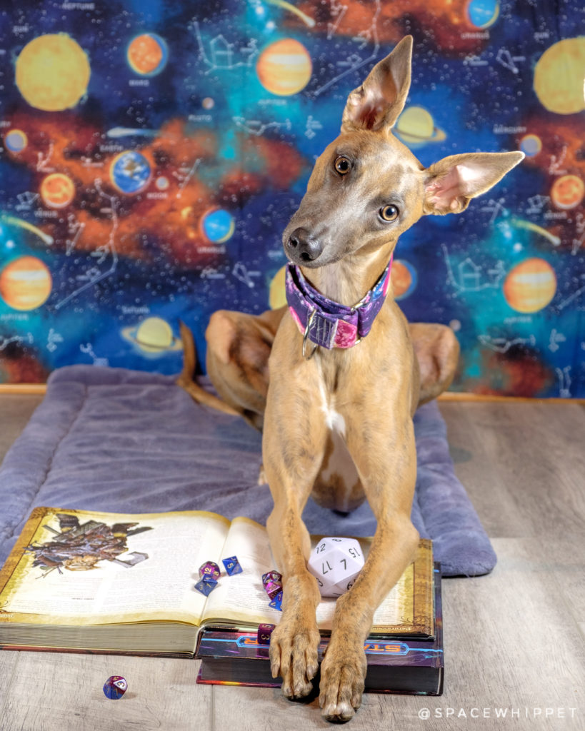 Ranger 7 and the tradition of peanuts at NASA launches - spacewhippet